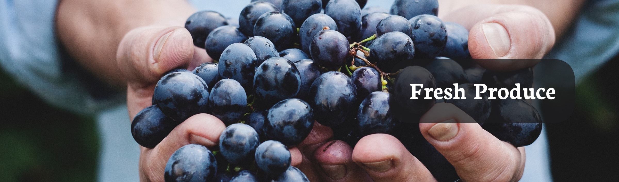 Oak Point Fresh Market | Place an Online Shopping Grocery Order Today!